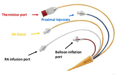 Swan ganz catheter 목적, 구성