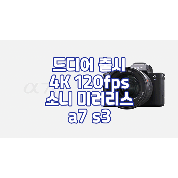 소니 4K 120FPS 미러리스 a7s3 출시