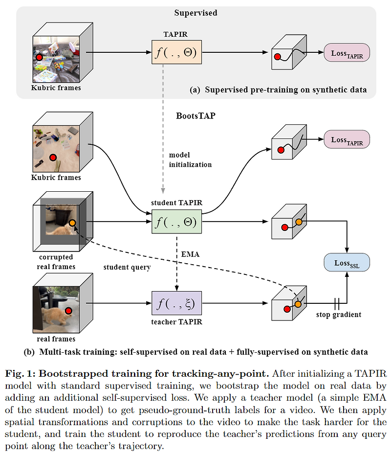 [논문리뷰] BootsTAP: Bootstrapped Training for Tracking-Any-Point :: MarvelCode