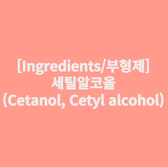 ?scode=mtistory2&fname=https:%2F%2Fblog.kakaocdn.net%2Fdn%2Fc9uV0E ...