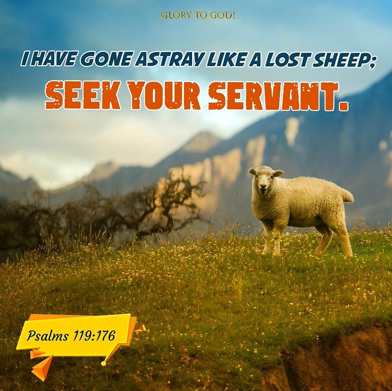 시편(Psalm) 119:161-176(양처럼 길을 잃고 있는 나)