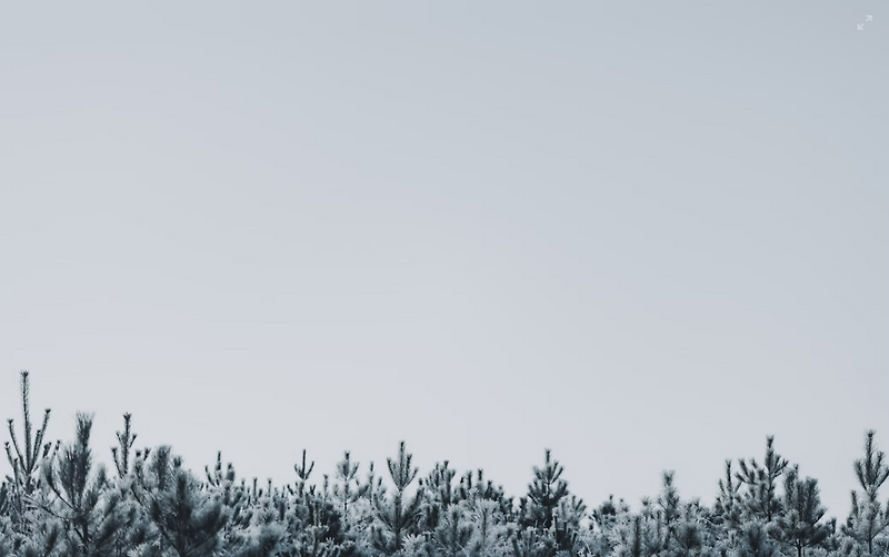 웹 서비스 캐시 다루기 — devWarrior