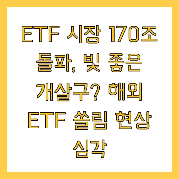 ETF 시장 170조 돌파, 빛 좋은 개살구? 해외 ETF 쏠림 현상 심각