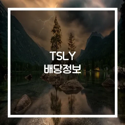 고위험, 고배당, 월배당! TSLY 배당정보