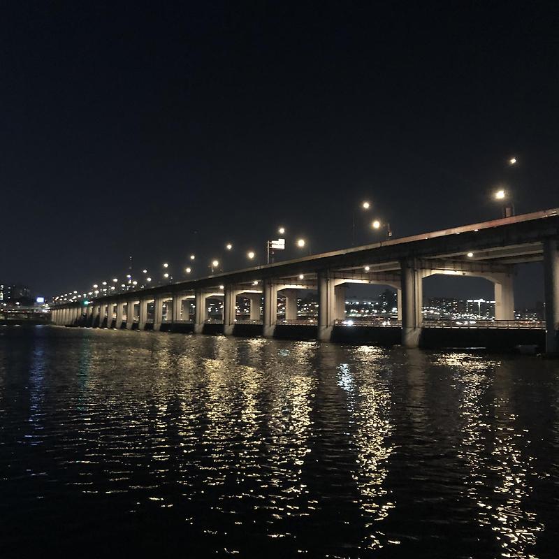 26 :: Like a Rabbit in Headlights.