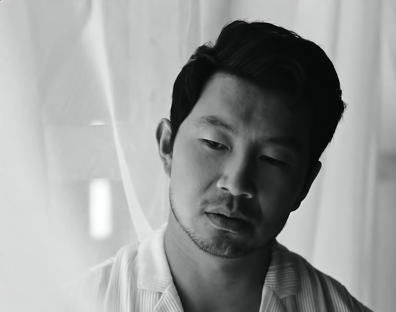 Simu Liu - Don't (3)
