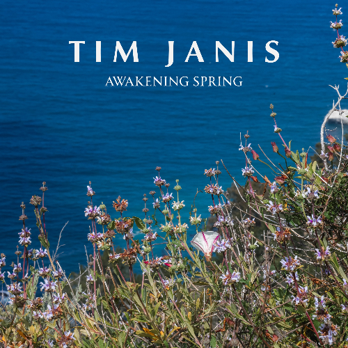 Tim Janis - Fairest Lord Jusus