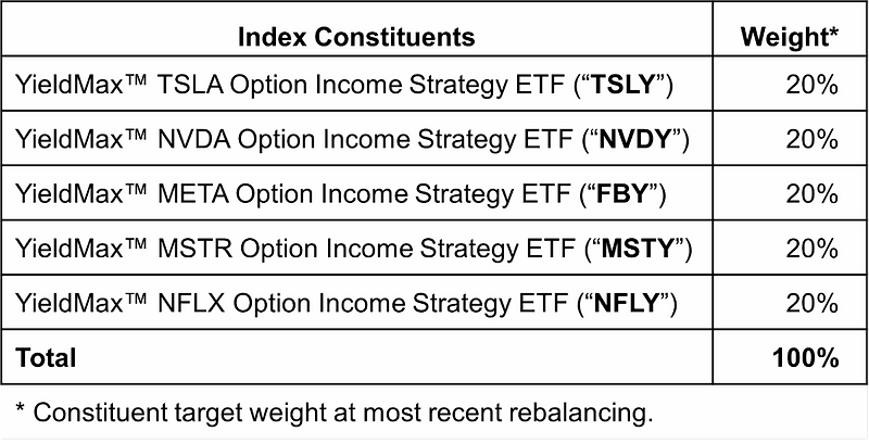 🚀 YieldMax™, 두 개의 새로운 ETF 출시!