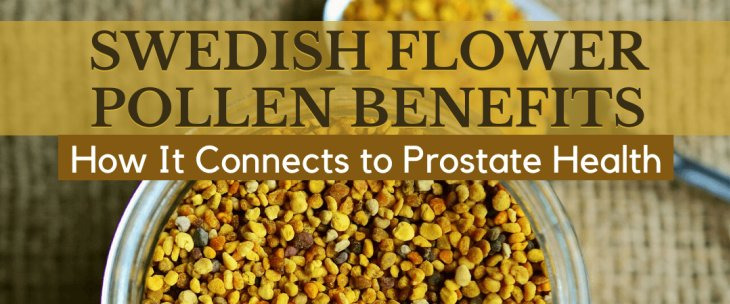 비타민하우스 - 캐나다 비타민 하우스 전립선에 좋은 특수화분