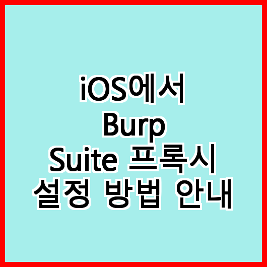 iOS에서 Burp Suite 프록시 설정 방법 안내