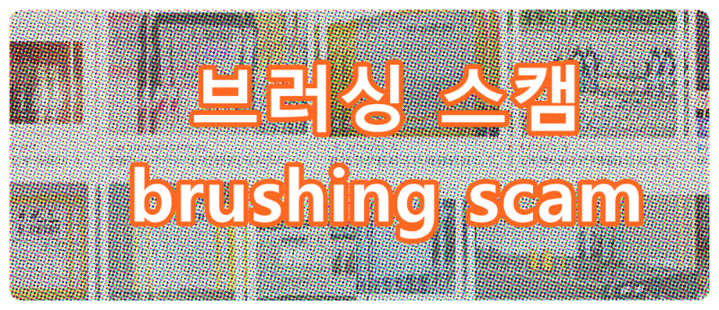 중국의 브러싱 스캠(brushing scam)