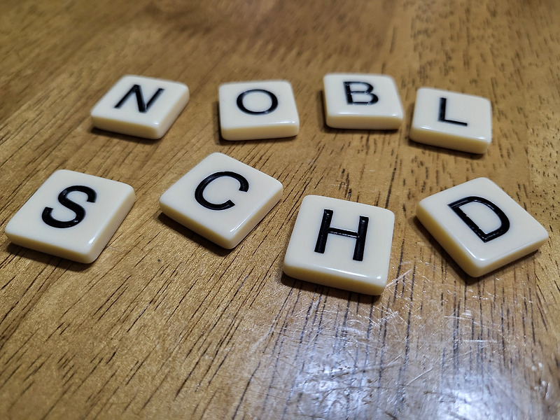 고배당 ETF 추천, 미국에서 고른다면 QYLD, SCHD 뭐가 좋을까?