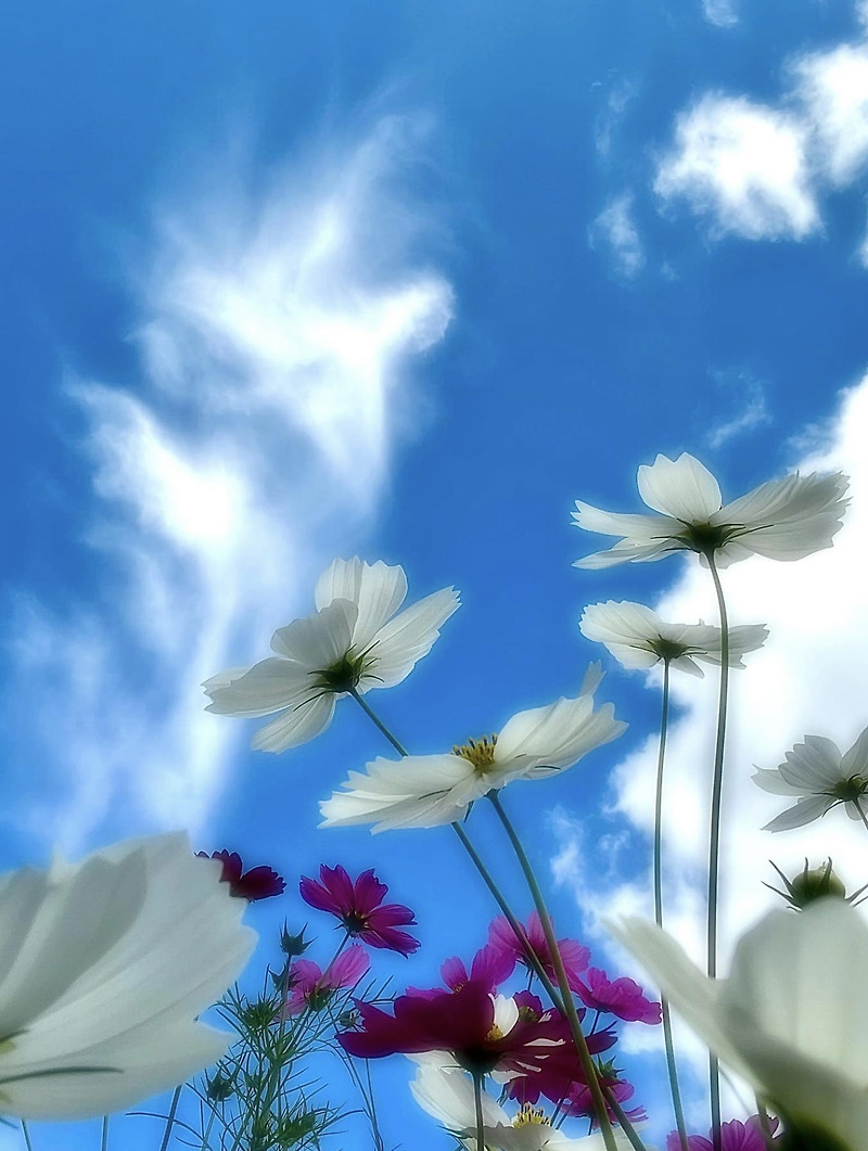 There's nothing more glorious than sunshine after a storm