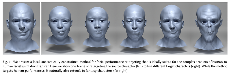 Local Anatomically-Constrained Facial Performance Retargeting