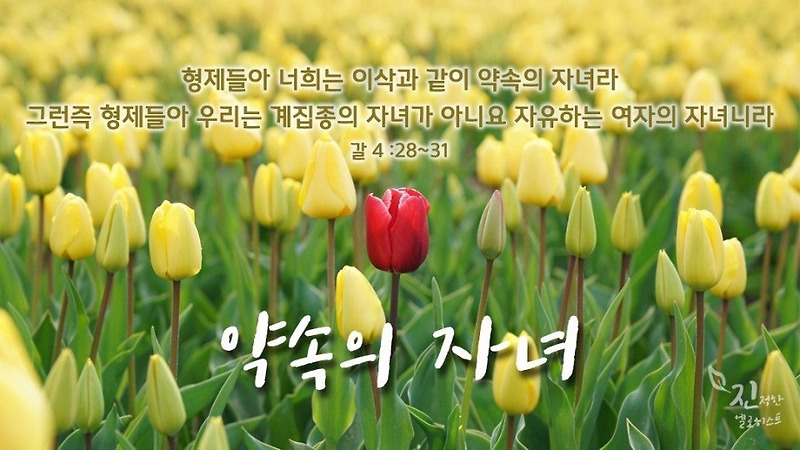 아브라함과 세우신 하나님의 언약