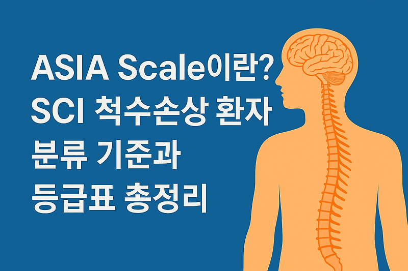 ASIA Scale이란? SCI 척수손상 환자 분류 기준과 등급표 총정리