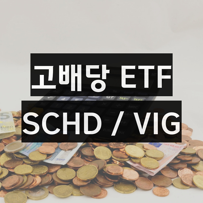 미국 고배당 ETF 비교 추천 SCHD VIG 주가 배당금