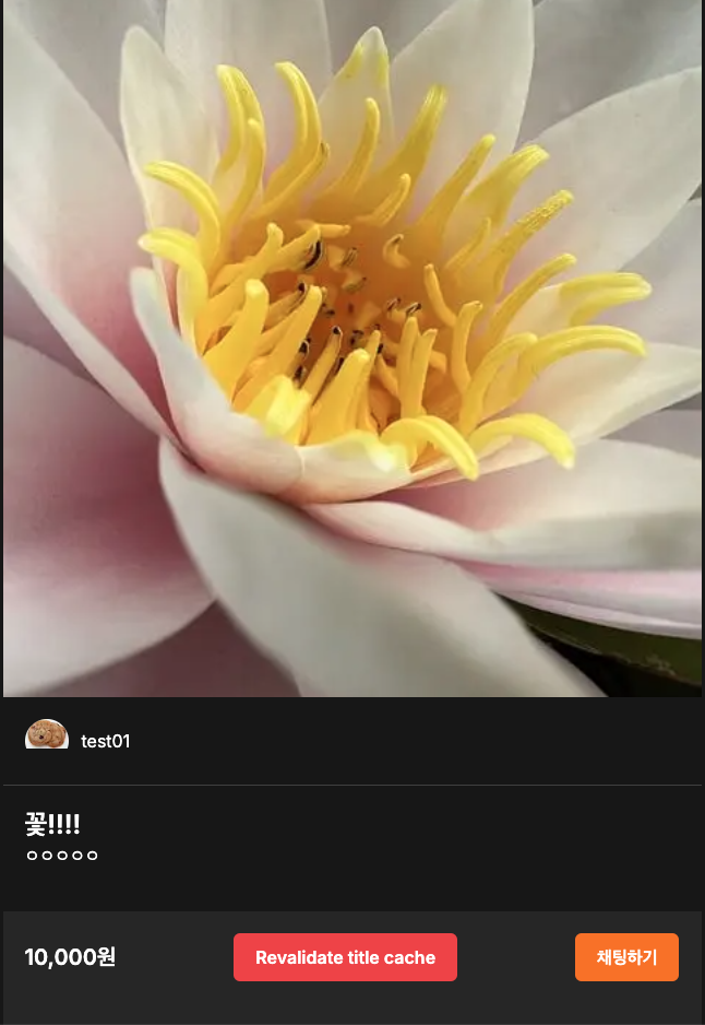 Next.js에서 API 요청 결과를 캐싱하는 방법: unstable_cache, revalidate, revalidatePath, revalidateTags (Legacy ...