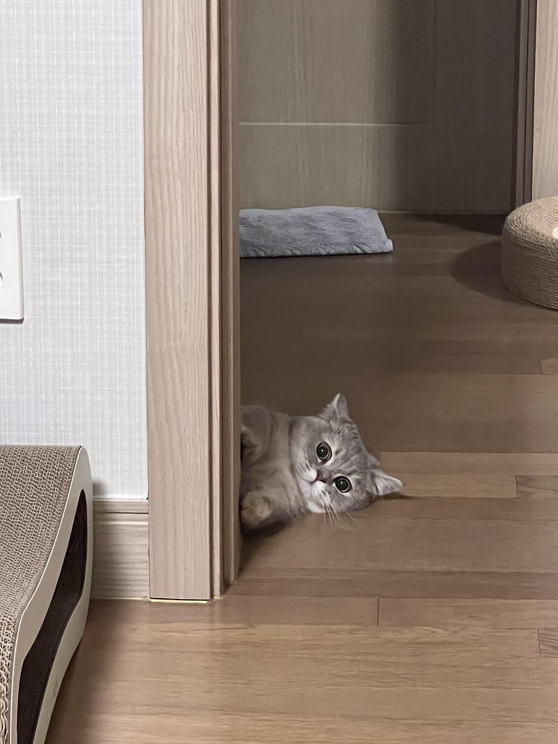 Django serializer 활용하기 - advanced