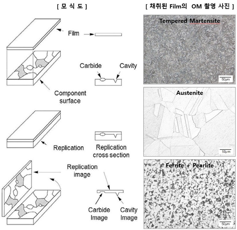Replica Test (표면 복제법)