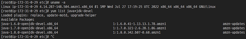 java1.8 에서 java 11 업그레이드 AWS/LINUX centoOS amzn1.x86_64 java 에서 쉽게 하기