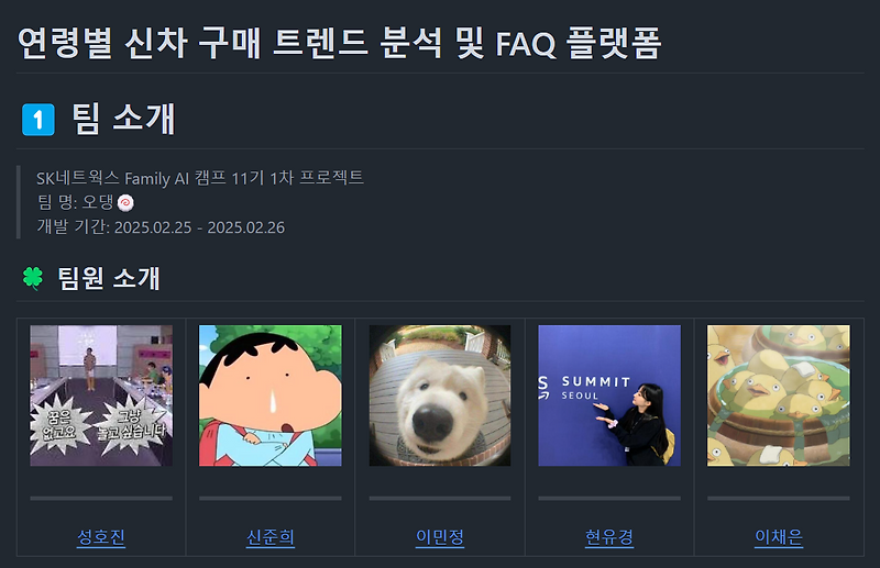 [SK네트웍스 Family AI 캠프 11기] 1차 프로젝트 회고