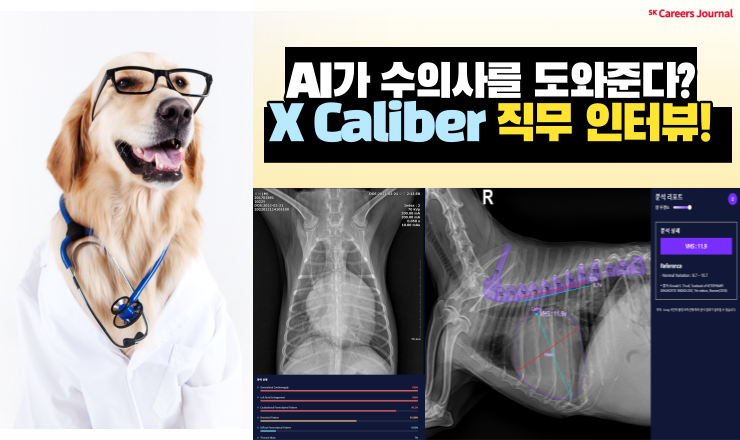 AI가 수의사를 도와준다? X Caliber 직무 인터뷰!