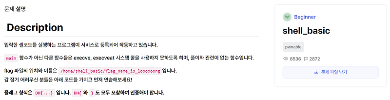 [Dreamhack] shell_basic :: 또 뭐하지