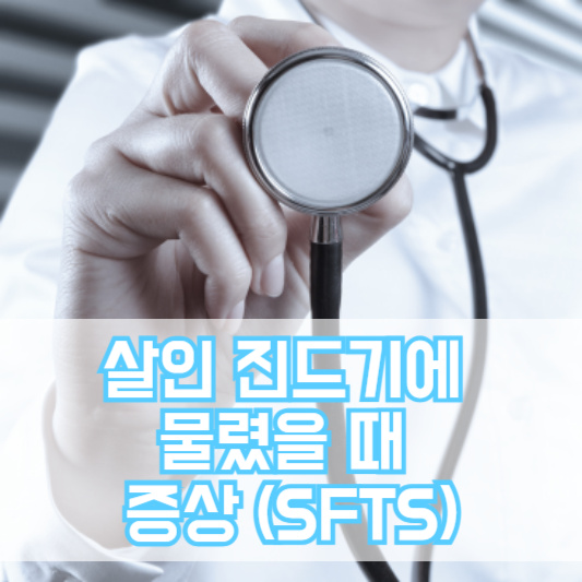 살인 진드기에 물렸을 때 증상 (SFTS)