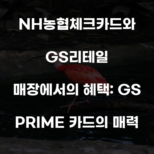 NH농협체크카드와 GS리테일 매장에서의 혜택: GS PRIME 카드의 매력