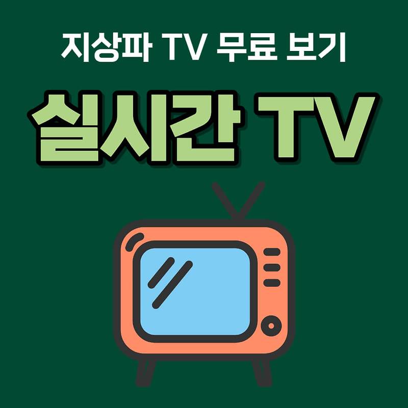 실시간 TV보기 무료 | 지상파 KBS MBC SBS EBS