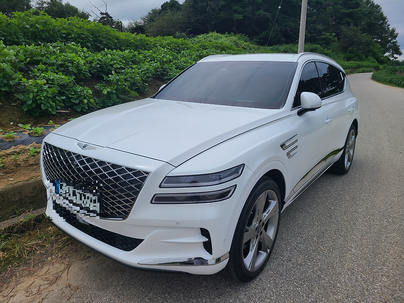 국산 고급 SUV! 제네시스 GV80 2.5T 4WD 시승기