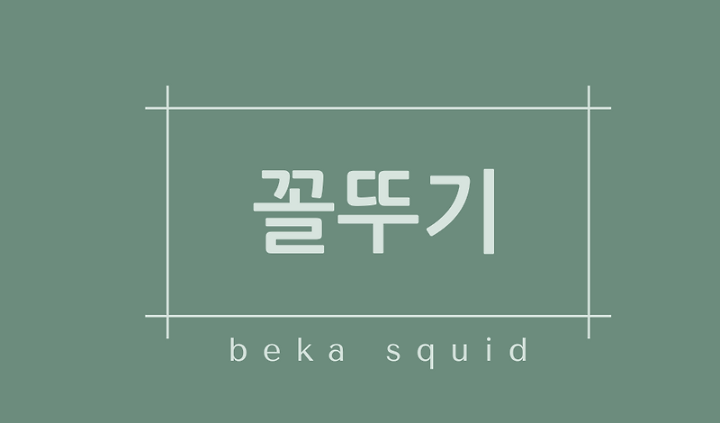 꼴뚜기(beka squid)특징,서식지,종류,천적,수명,몸무게,꿈해몽
