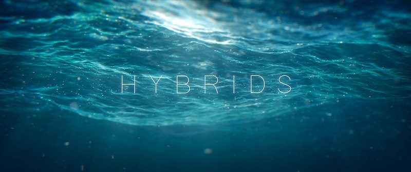 HYBRIDS (2017) - Animated Short Film