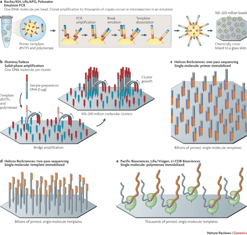[NGS sequencing] 03. 초기 NGS platform 기술: Pyrosequencing, Sequencing by ...