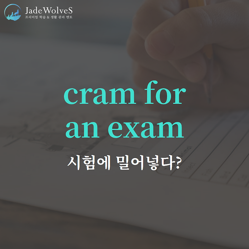 청랑의 영숙어 : cram for an exam/tie the knot