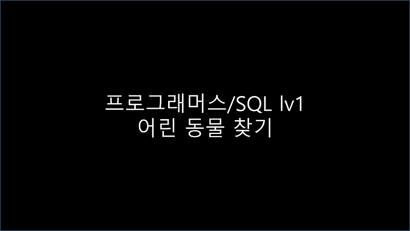 [SQL] 프로그래머스/SQL lv1 어린 동물 찾기 — 기록하며 성장하는 주니어 개발자