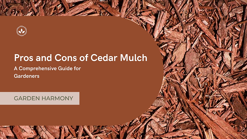 Pros and Cons of Cedar Mulch: A Comprehensive Guide for Gardeners ...