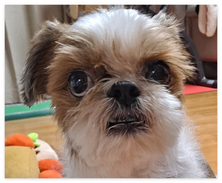 [PintOS 4주차] Day 4-5