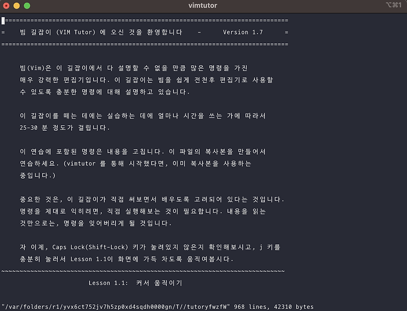 Vim튜토리얼