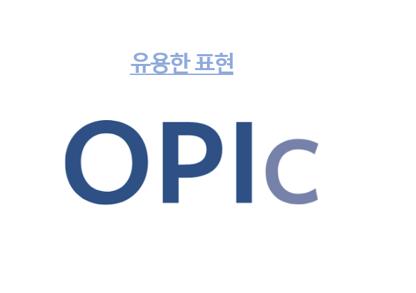 Level Up Your OPIC: Fun and Useful English Expressions to Impress!