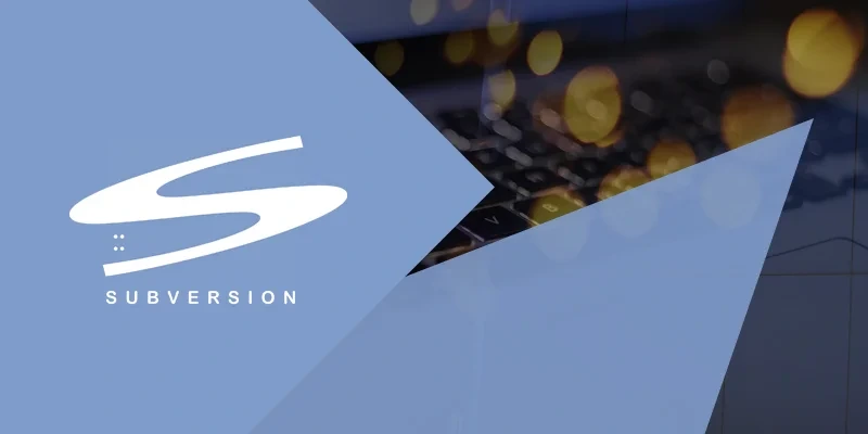 [SVN] Visual SVN Server 와 TortoiseSVN 사용