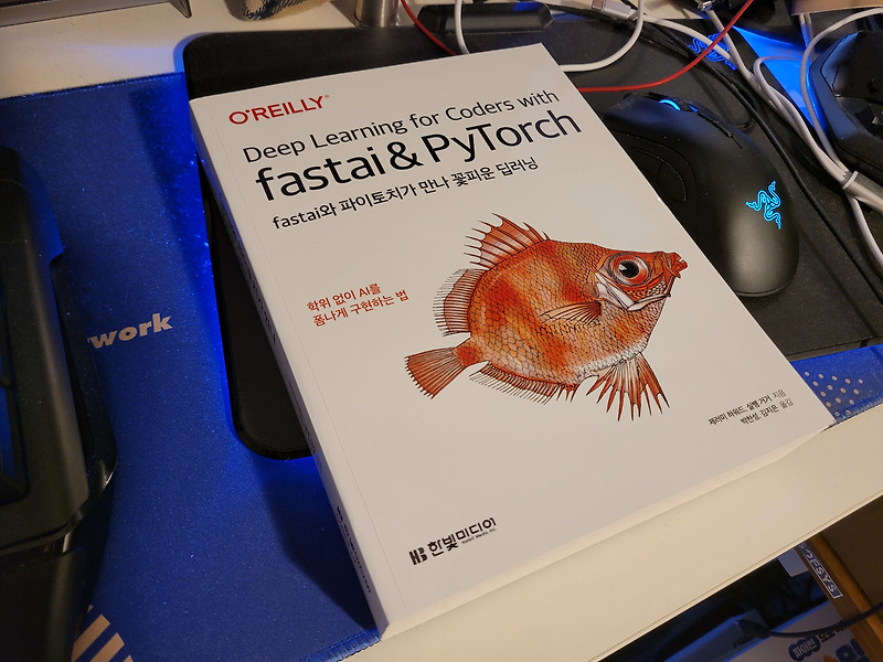 [Book] Deep Learning for Coders with fastai & PyTorch