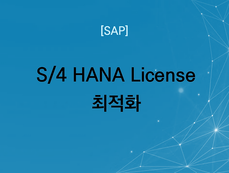 [SAP] S/4 HANA License 최적화