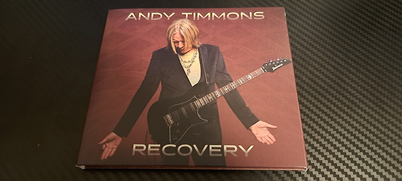 ANDY Timmons-Recovery