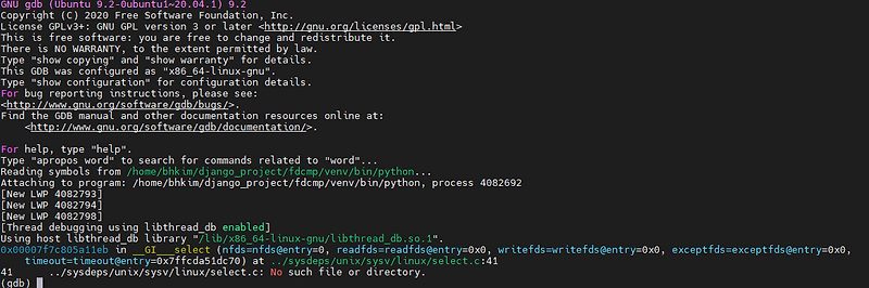 gdb 로 liunx python process 디버깅하기