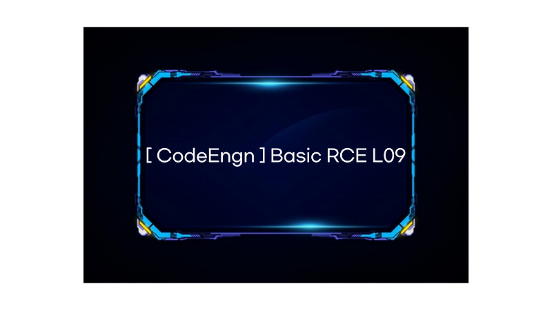 [ CodeEngn ] Basic RCE 9 문제 풀이