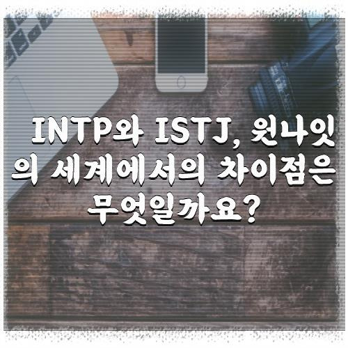 INTP와 ISTJ, 원나잇의 세계에서의 차이점은 무엇일까요?