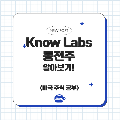 Know Labs Inc.(KNW) 비침습 혈당 측정 기술 동전주 분석