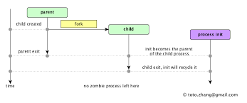 What is a Zombie Process?